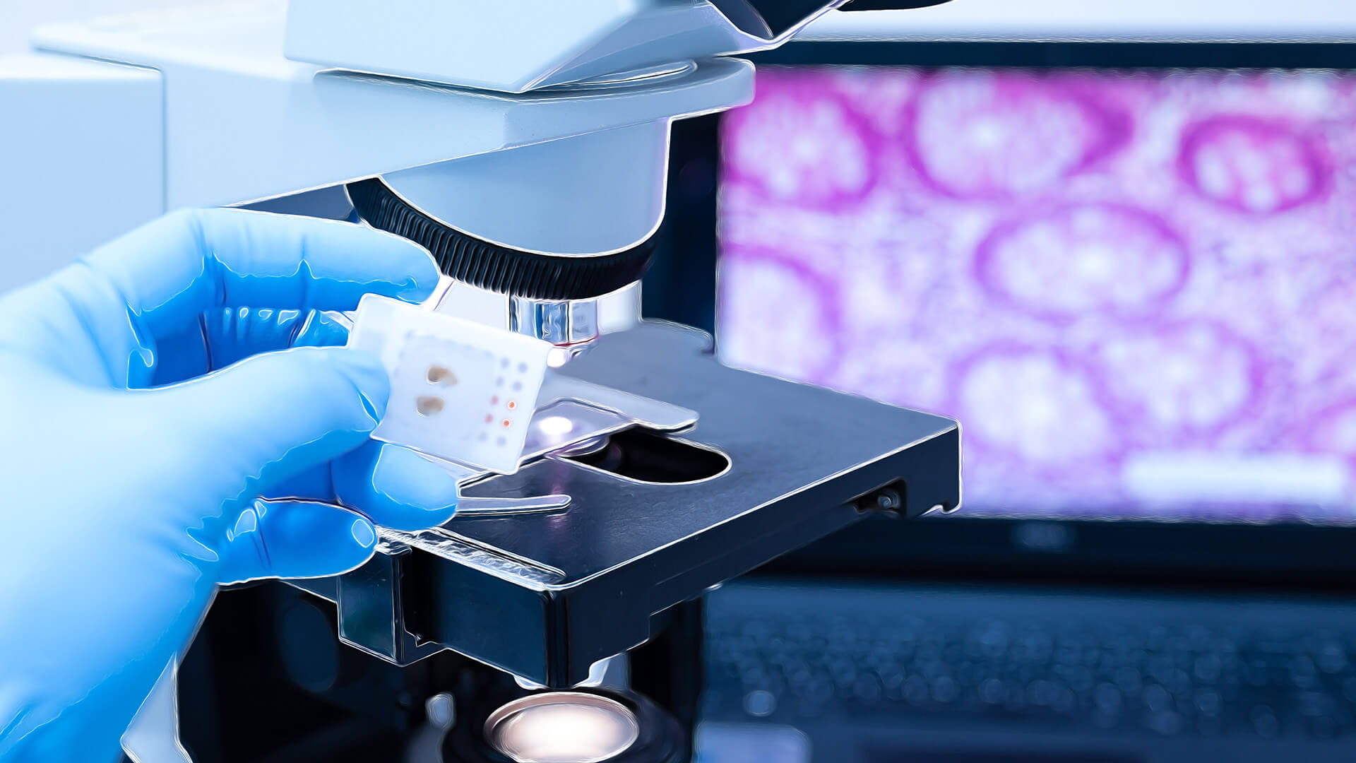 In Depth on Biomaterials in Life Sciences | Reports | Knowledge Center